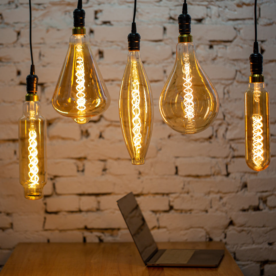 Decorative Bulbs– FLSNT